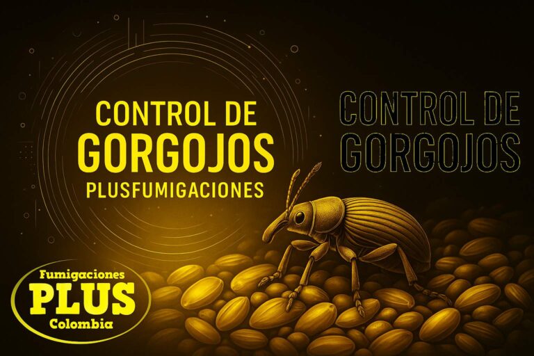 Fumigación y Control de Gorgojos en Granos Almacenados 24/7